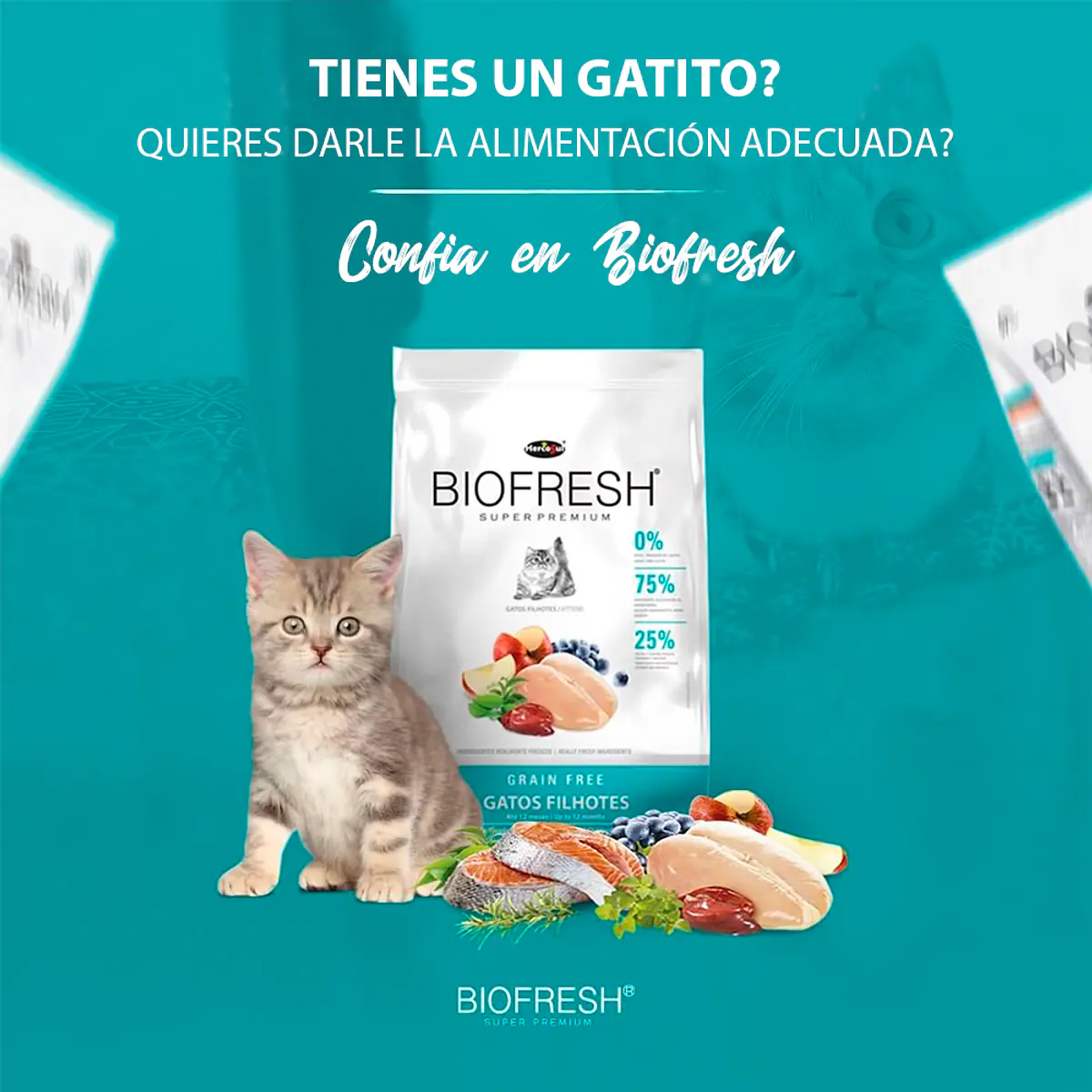 Biofresh Gatitos 1.5K - Libre de Granos | Bio Pet Shop -Tienda para ...