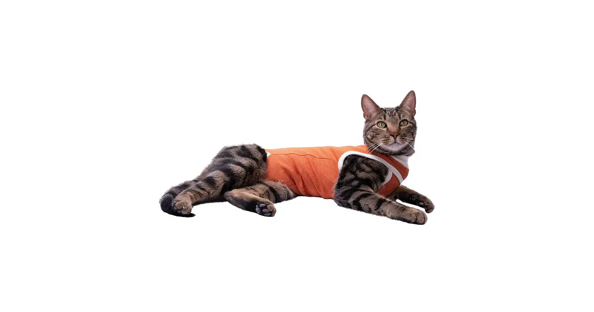 Body De Cobre Para Perros y Gatos
