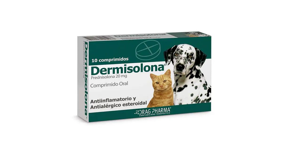 Dermisolona 20 mg 10 comprimidos