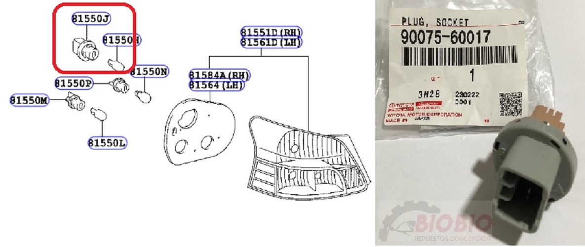 Soquete Luz De Freno Farol Toyota New Yaris 06/13 Original