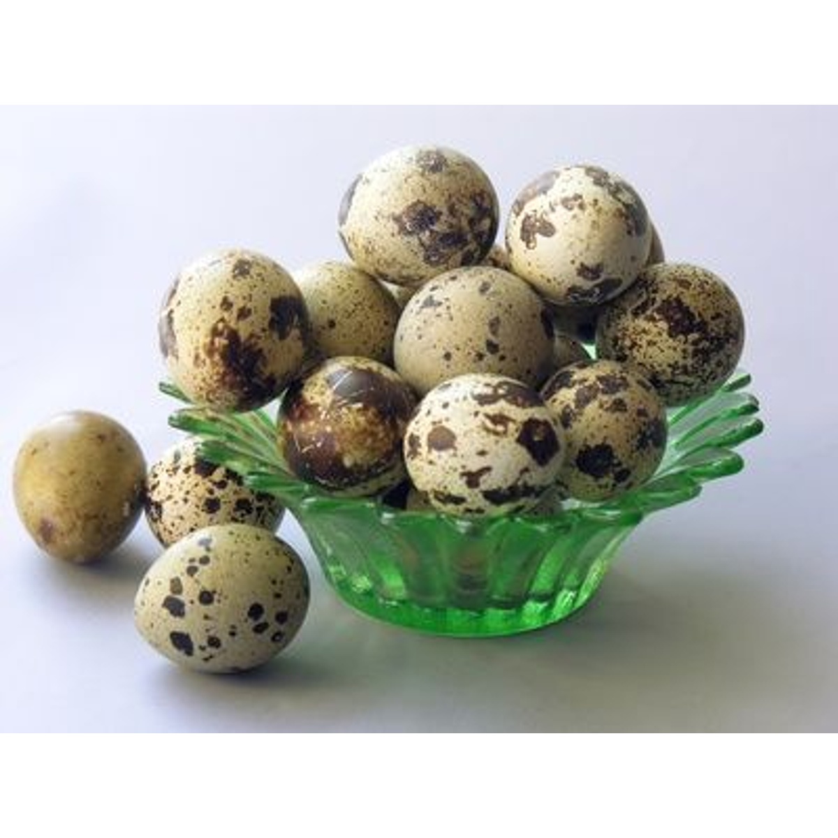 HUEVOS DE CODORNIZ (24 UNID) | Tienda Biofresco