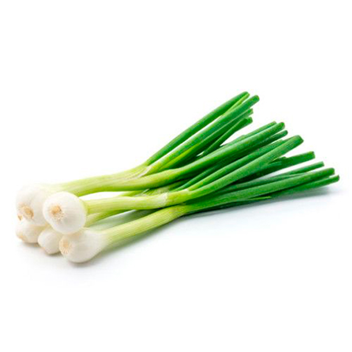 CEBOLLIN PQTE 3 UN | Tienda Biofresco