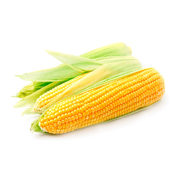 CHOCLO AMERICANO UNID