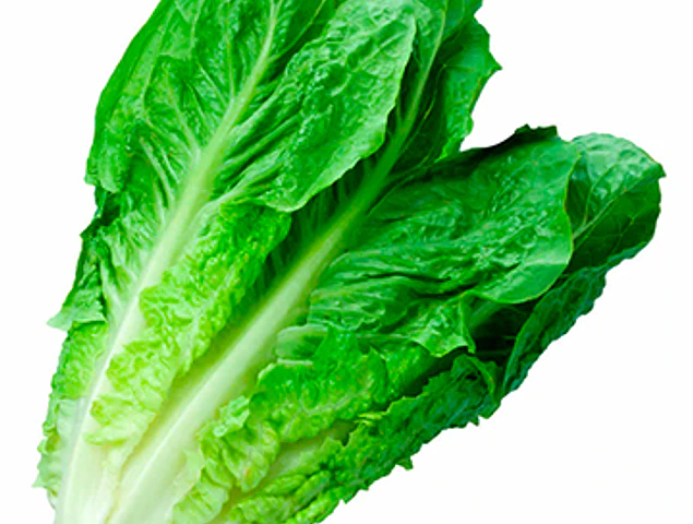 LECHUGA COSTINA UNID
