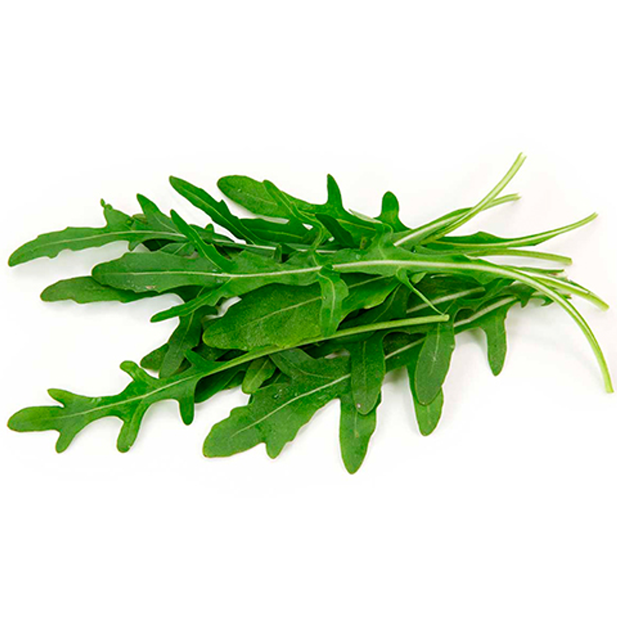 RUCULA KG | Tienda Biofresco