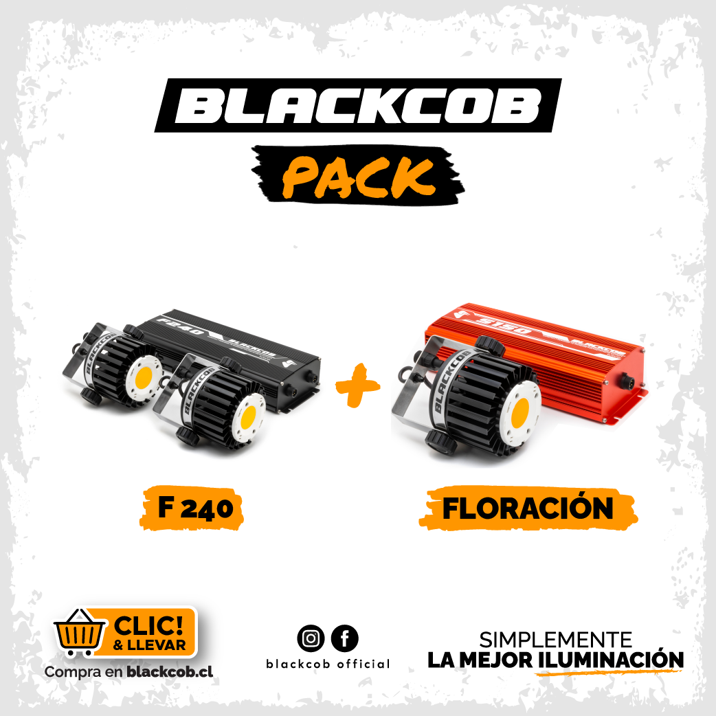 Pack 01 F240 + 01 S150