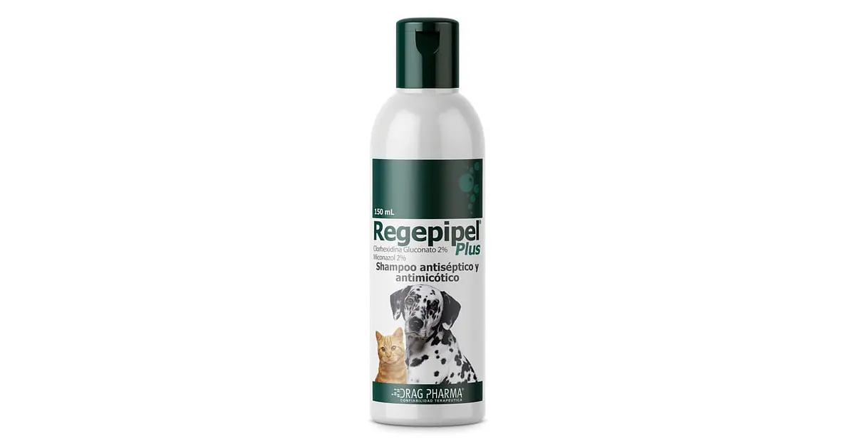 Shampoo Para Perros Regepipel Plus Antiséptico y Antimicó...