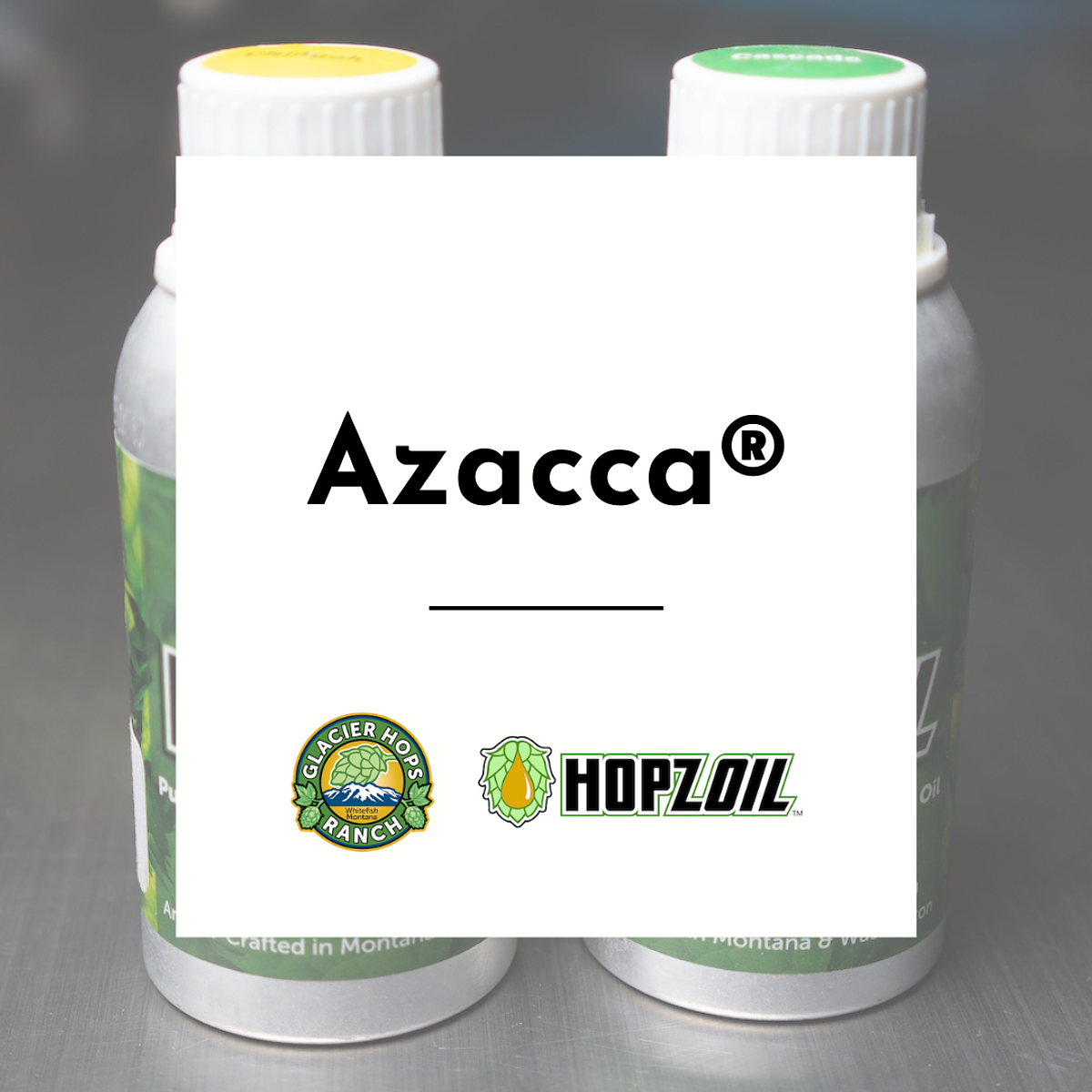 Hopzoil™: Azacca Majik® - BRIGHT