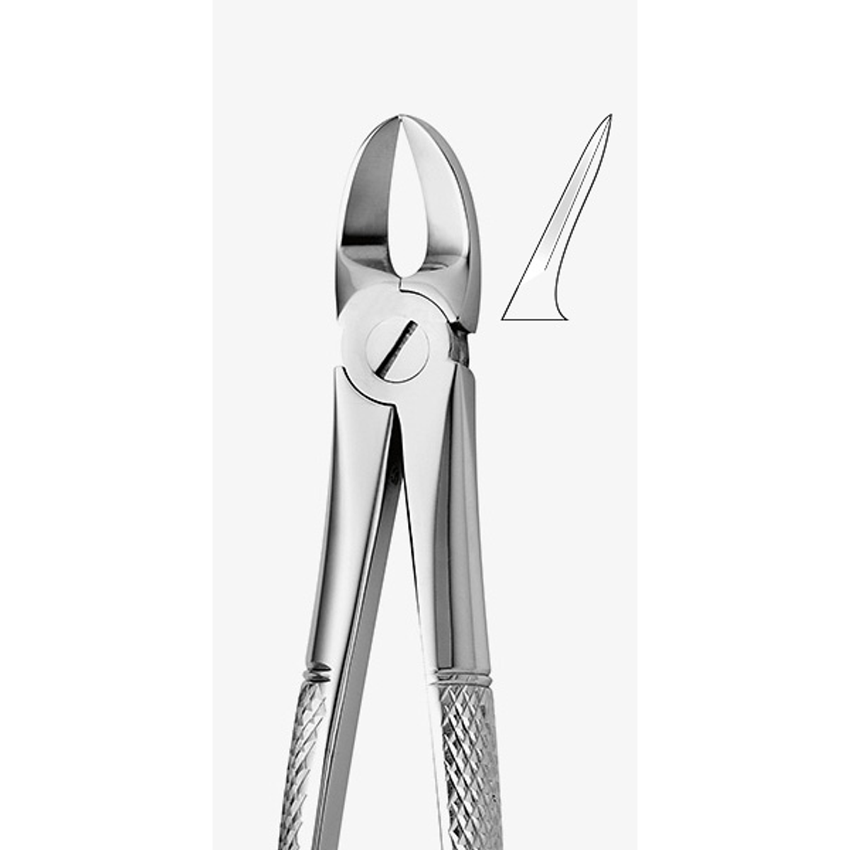 FÓRCEPS PARA EXTRACCIÓN N. 55 - 2500/55.