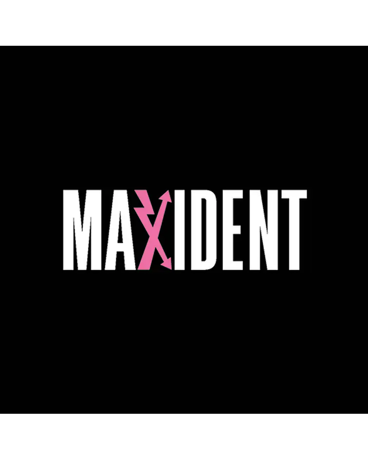 STRAY KIDS - MAXIDENT