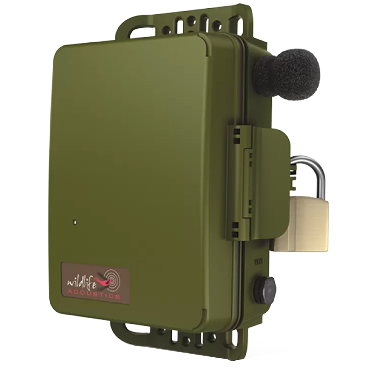 Grabadora Sonido Fauna Wildlife Acoustics Song Meter SM4