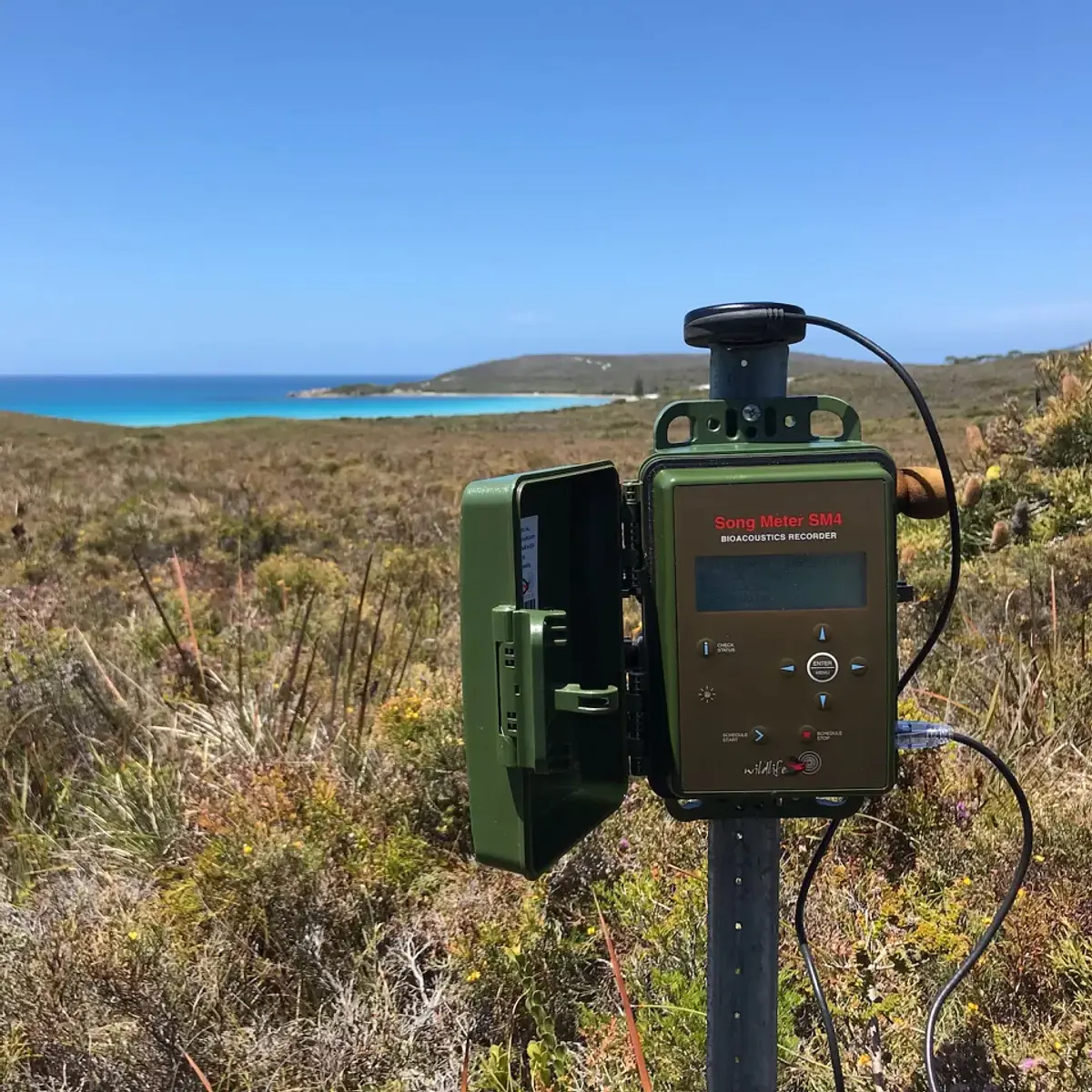 Grabadora Sonido Fauna Wildlife Acoustics Song Meter SM4
