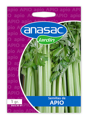 Semillas de apio