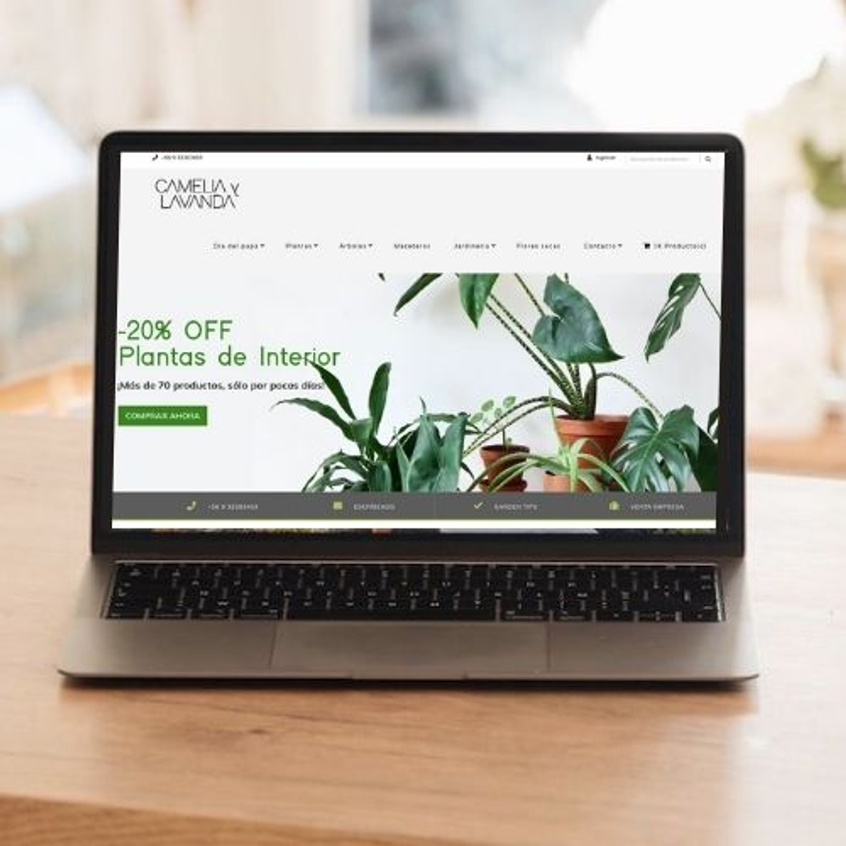 Asesoría virtual 30 min