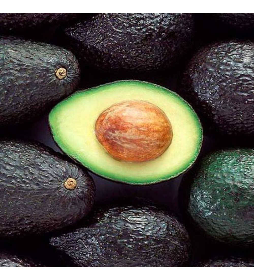 Palta Hass