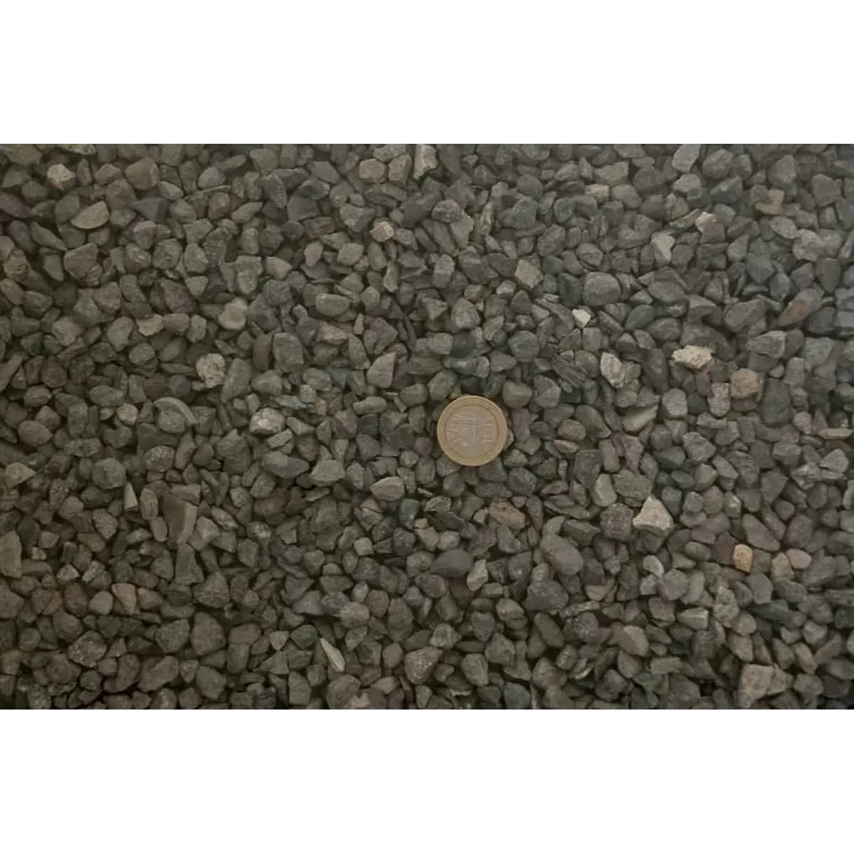Gravilla gris