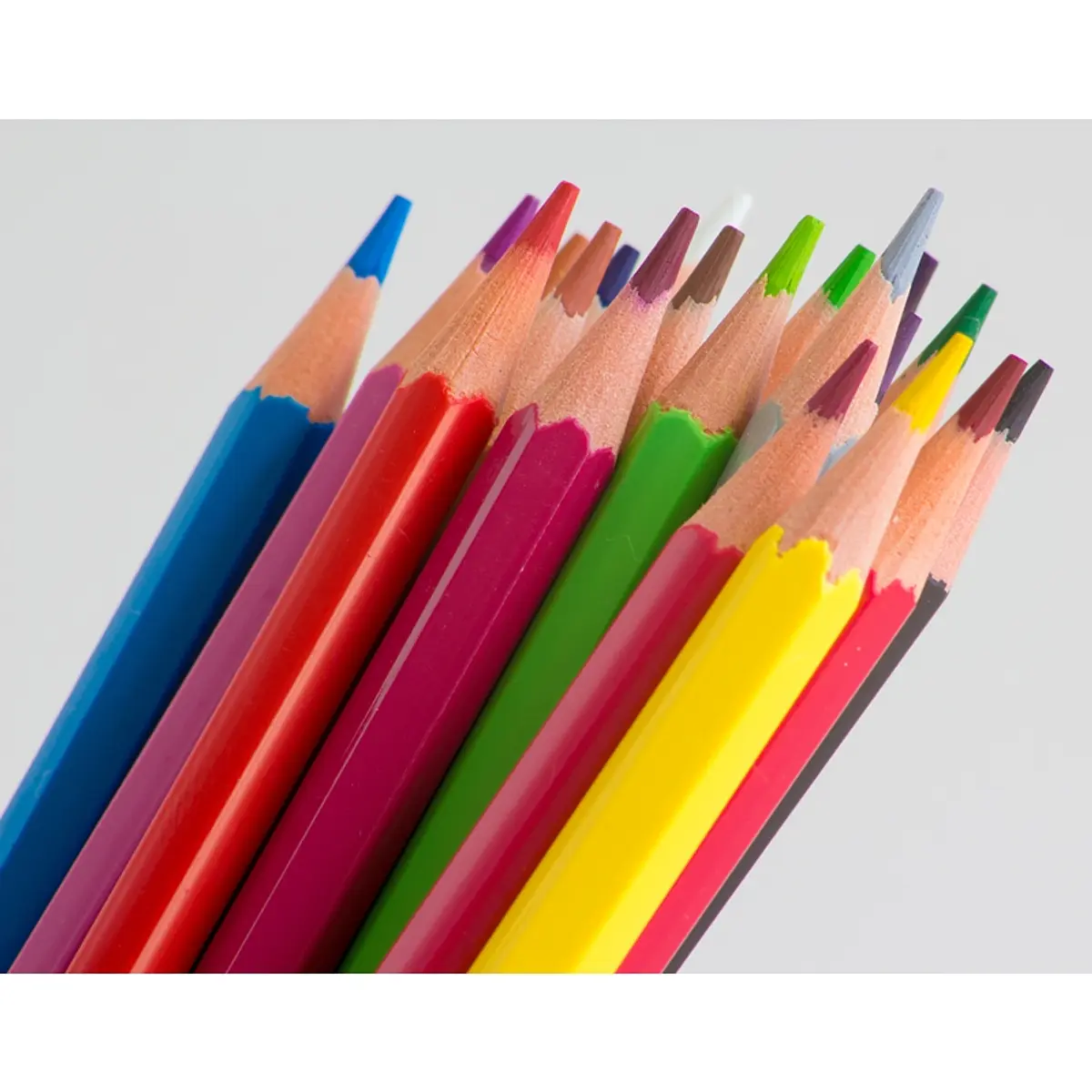 Lapices Color Alpino 12 Colores Hexagonales | La Casa del Arte