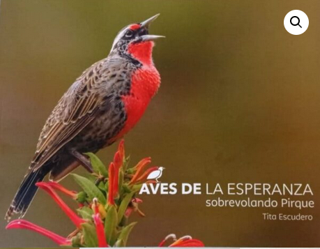 Aves De La Esperanza: Sobrevolando Pirque - Zona Central