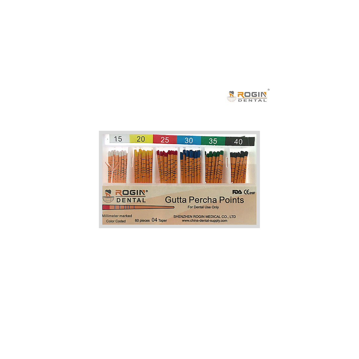 Cono Guttapercha Rogin