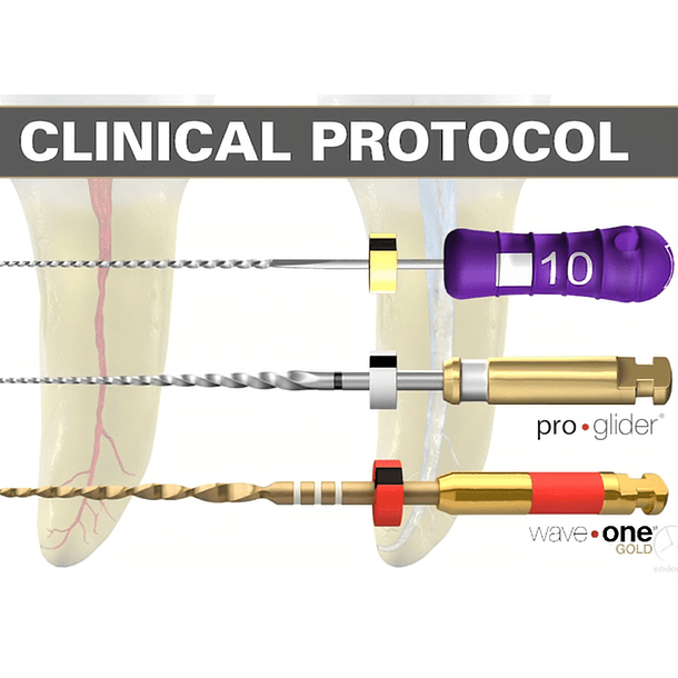 WAVE ONE GOLD SEQUENCE