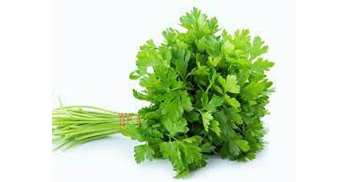 Perejil Liso Paquete 250 Gr