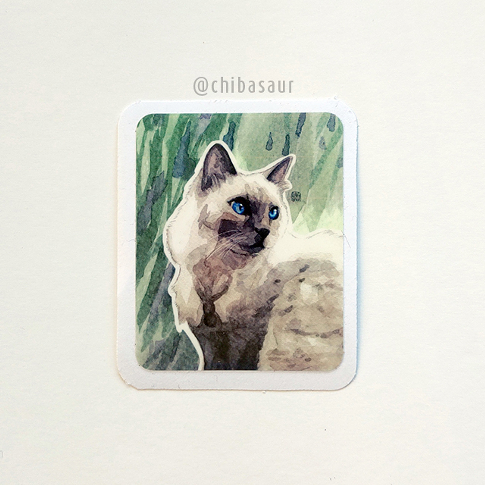 Sticker Gato Ojos Azules