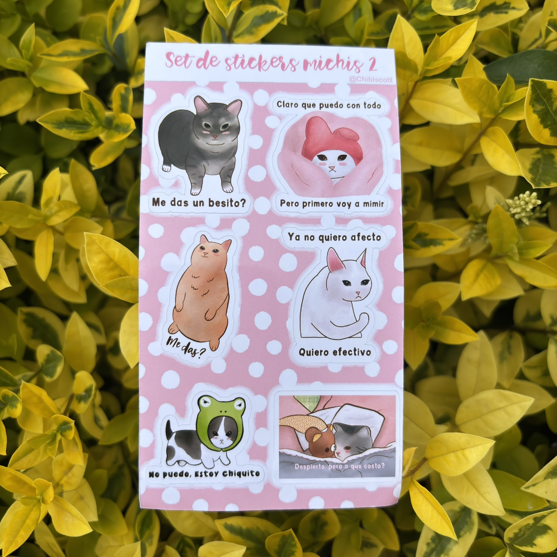 Set de Stickers Michis 2