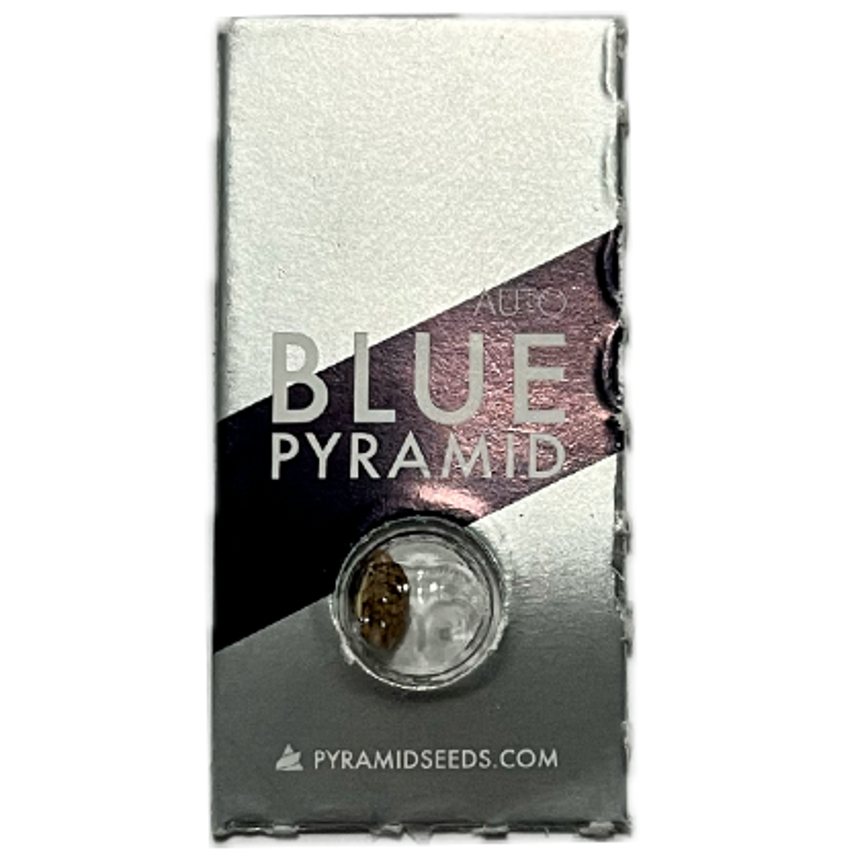 BLUE PYRAMID FEM X1 PYRAMID SEEDS