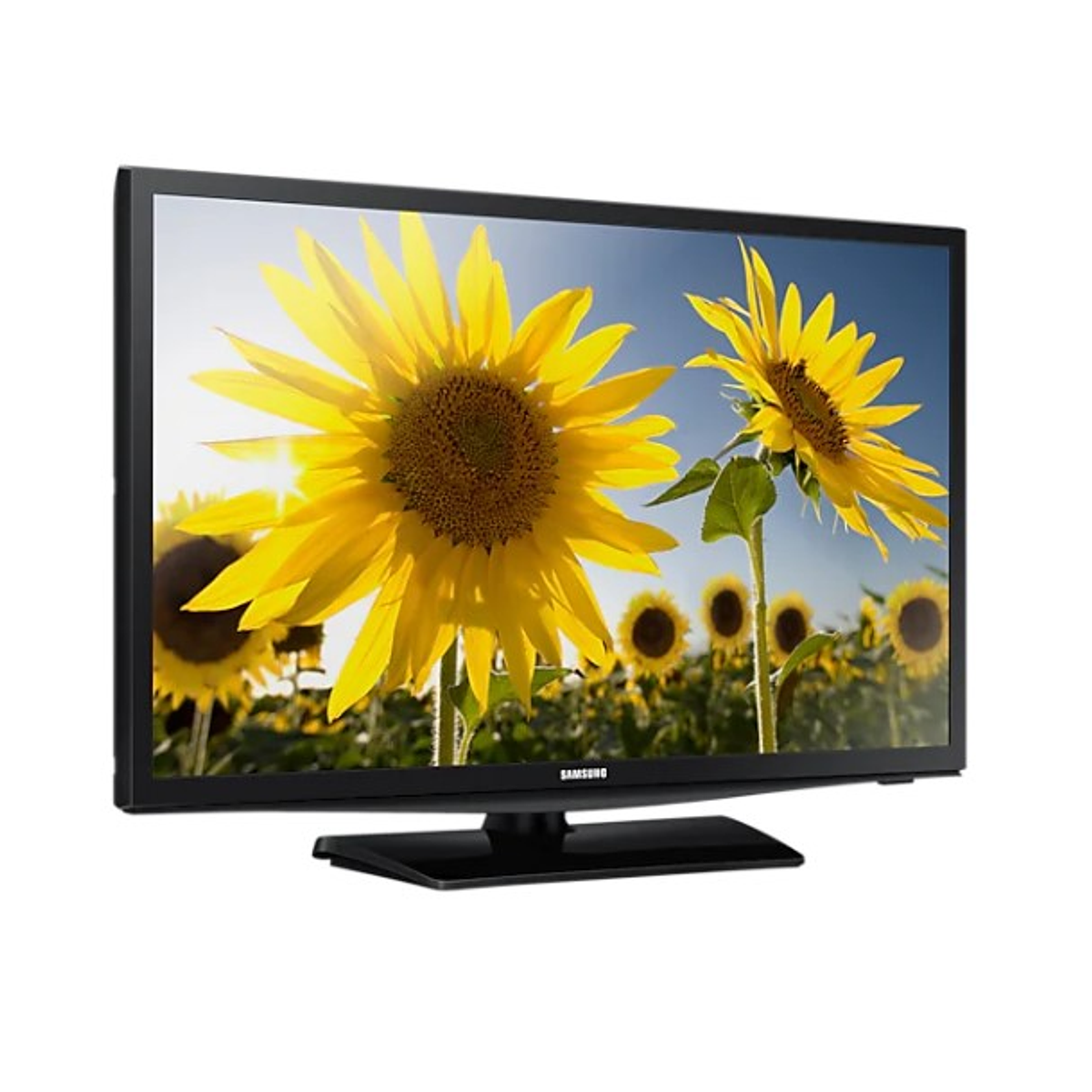 Samsung Smart LED 24 TV Con Smart Hub