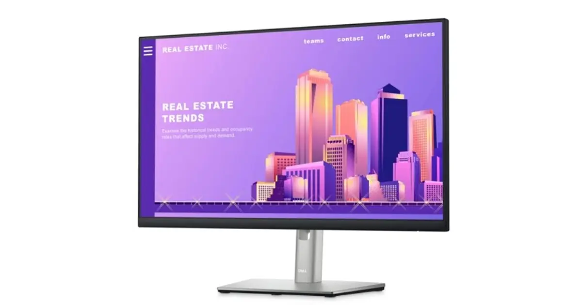 Dell P2422H Monitor de 24 pulgadas