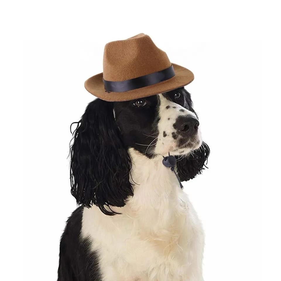 Gorro Sombrero Ranchero Mascotas Disfraz Perros Y Gatos - Cs