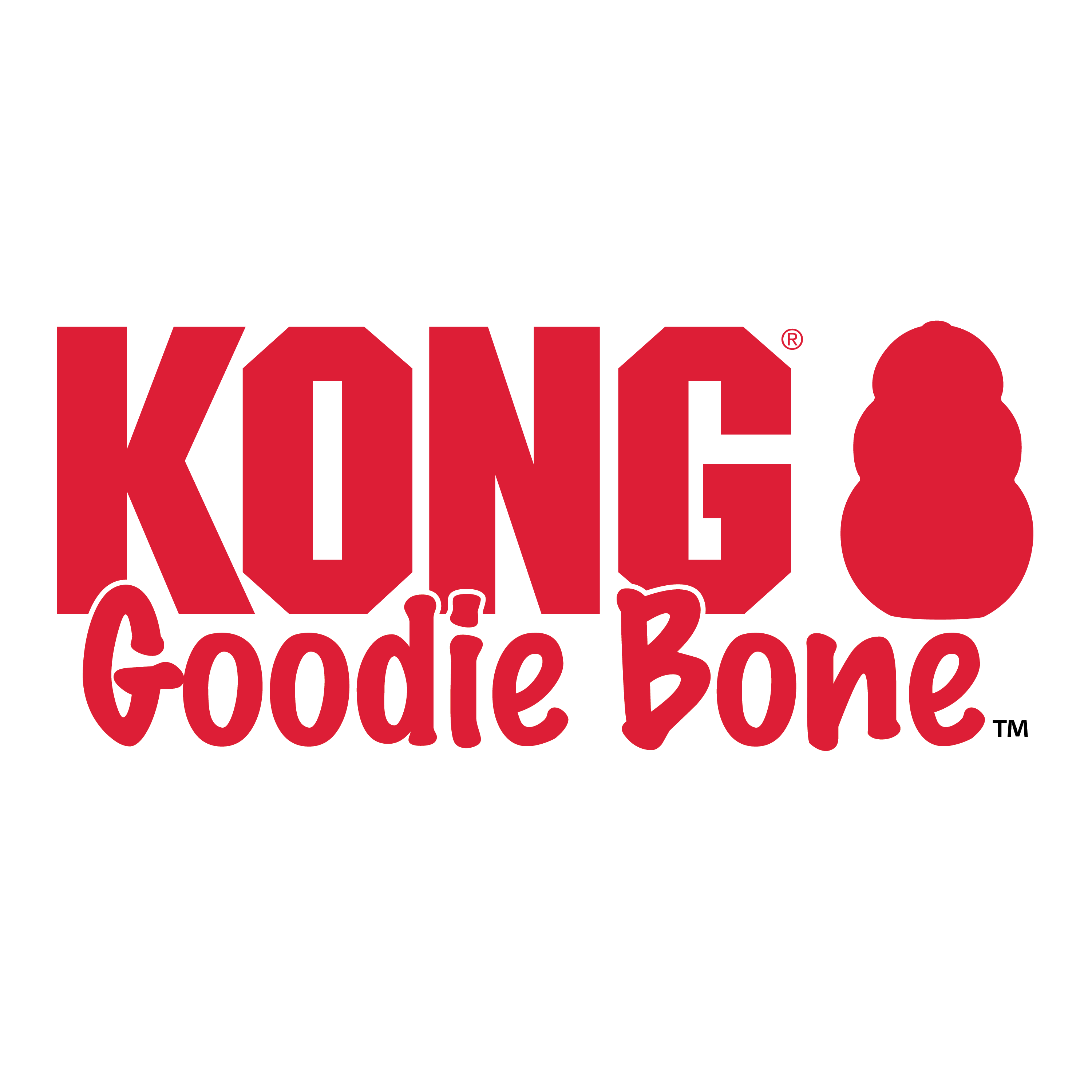 Hueso Kong Goodie Bone Talla S