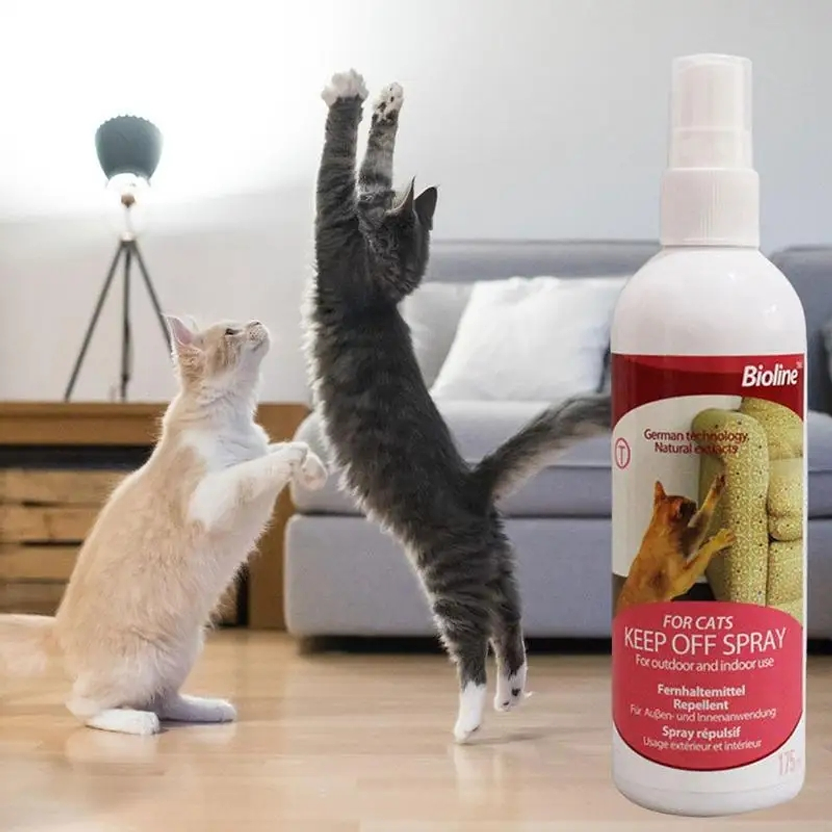 Repelente Para Gatos Keep Off Spray Bioline Para Interiores