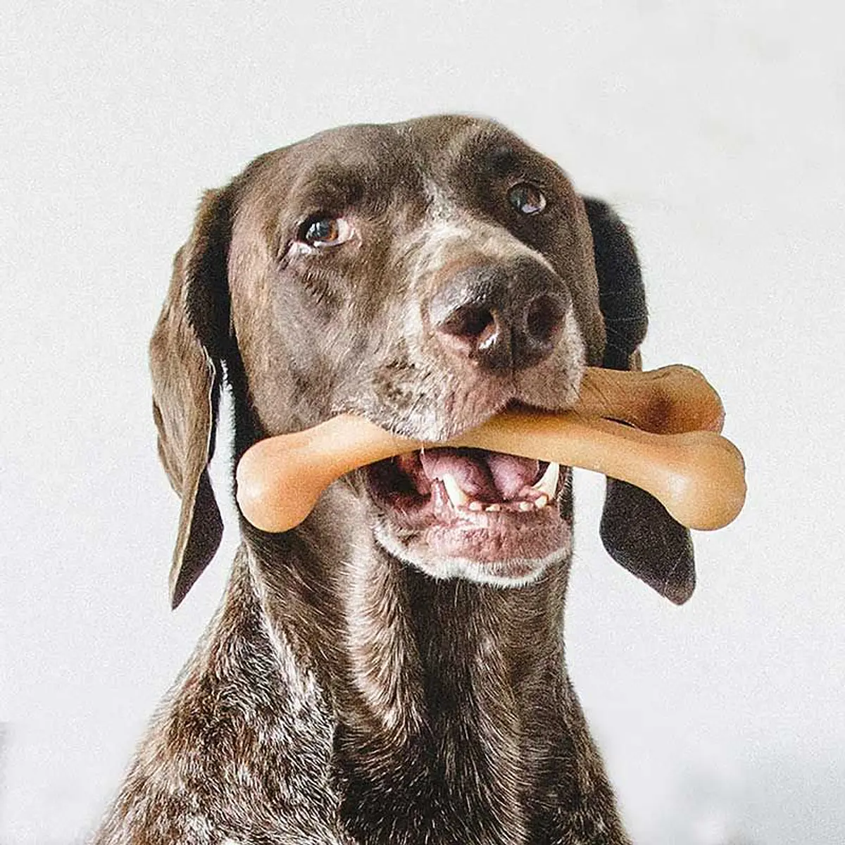 Benebone Wishbone Chicken Small