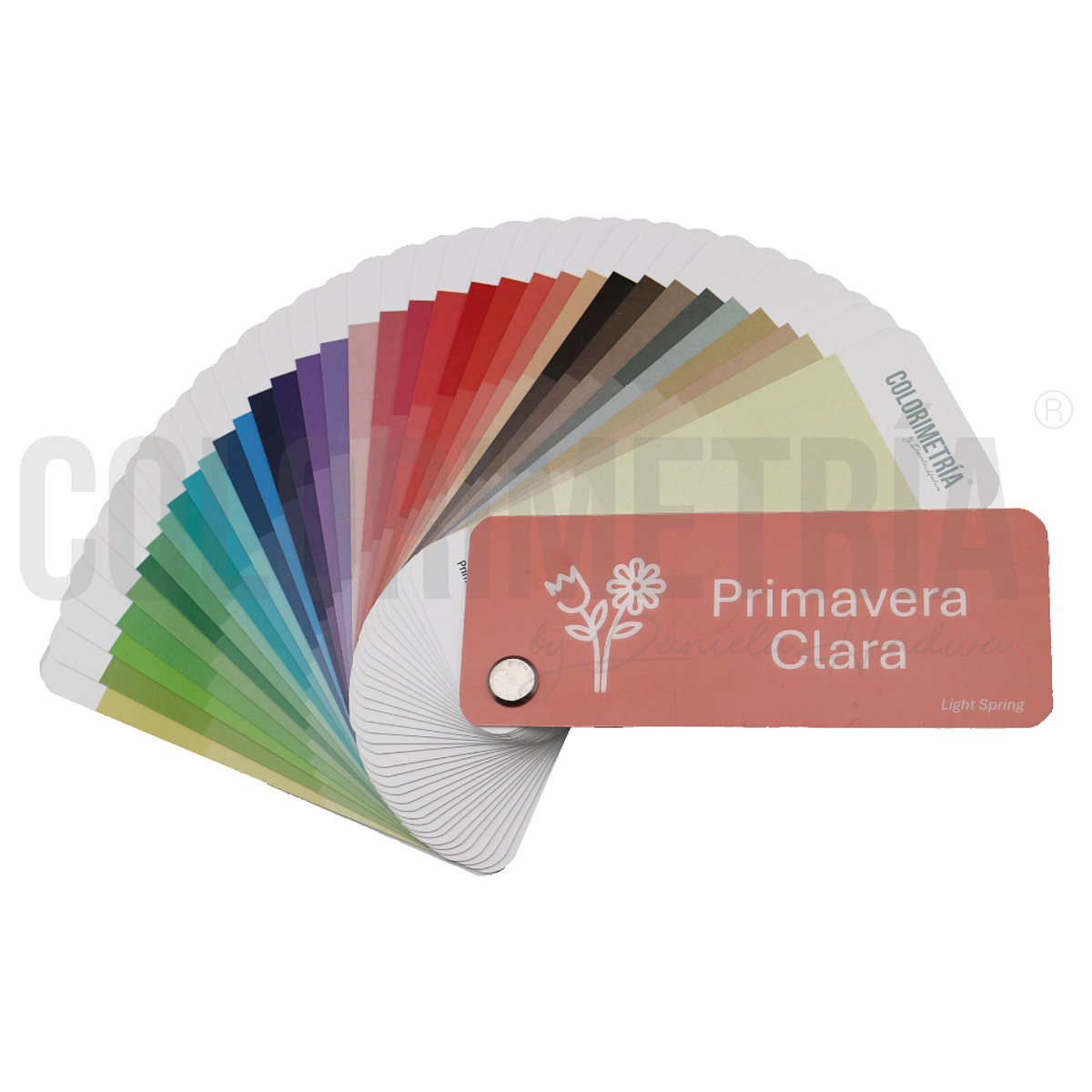 Paleta Primavera Clara