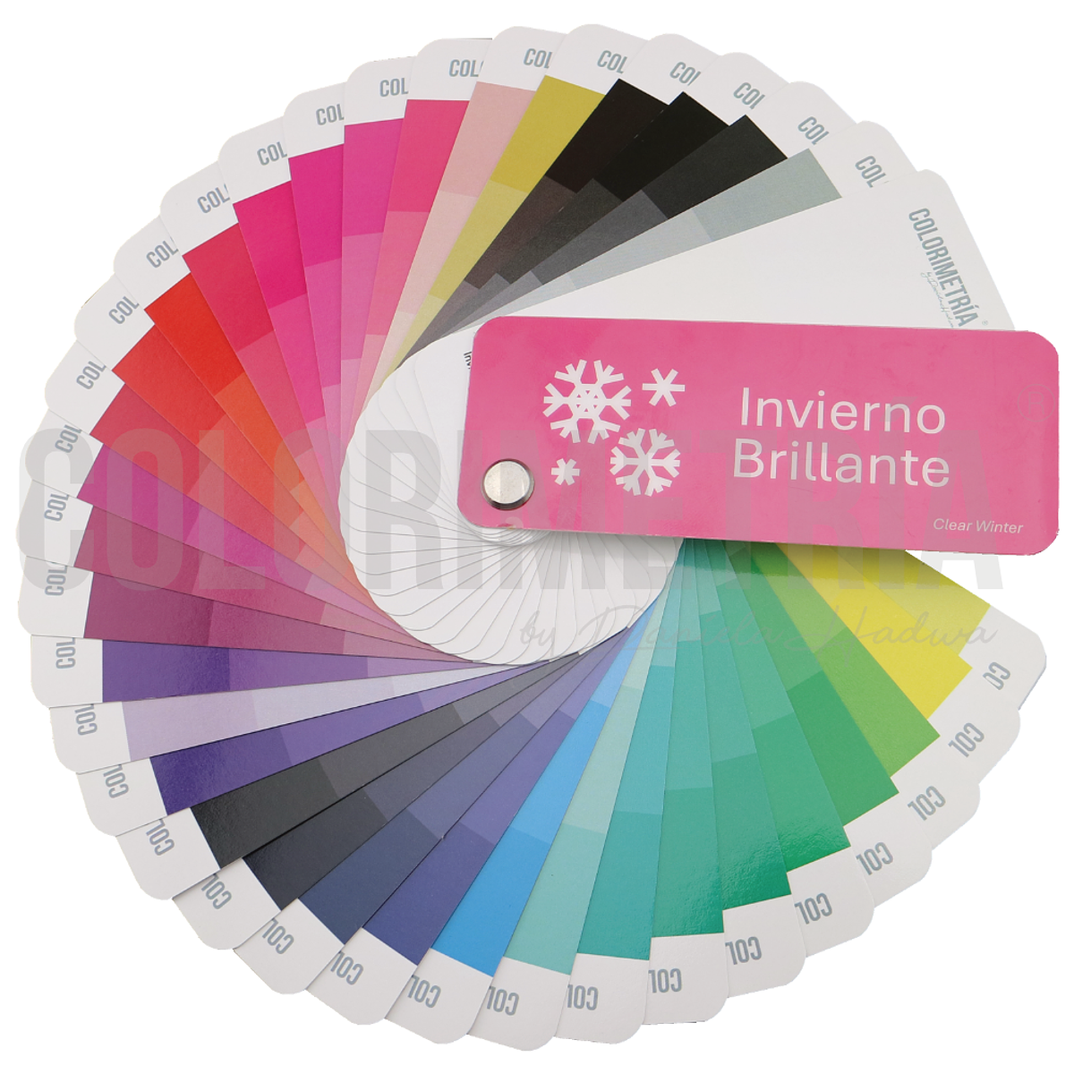 Paleta Invierno Brillante