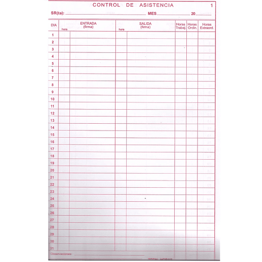 Libro de Asistencia 100 hojas REM