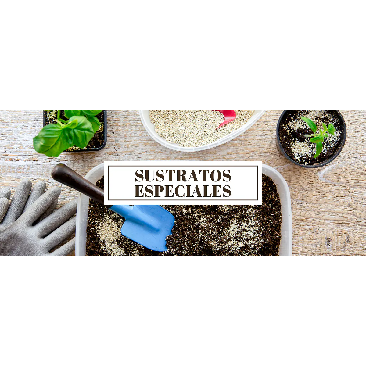Sustratos especiales