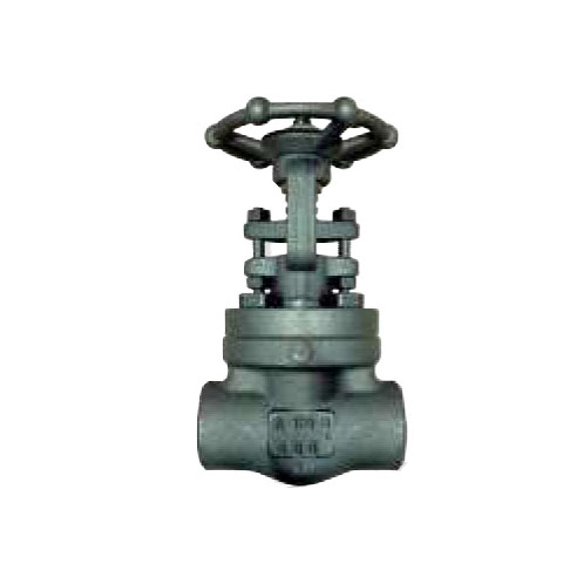 Válvula de compuerta Acero Forjado / Clase 800 lbs. NPT