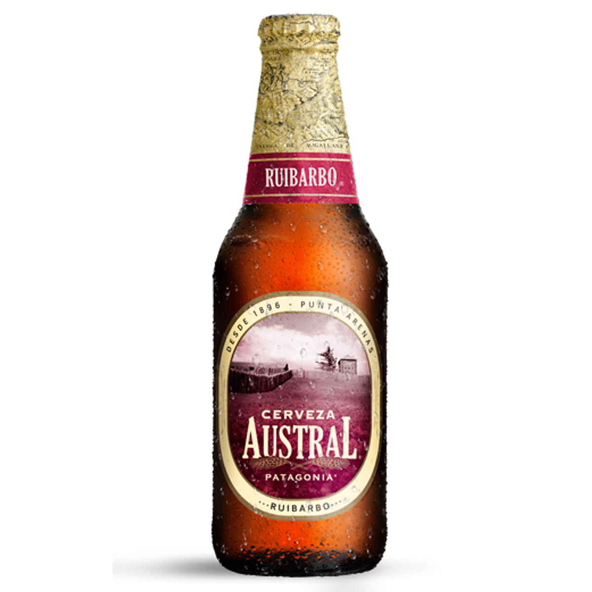 Cerveza Austral Botella 330cc Precio Oferta