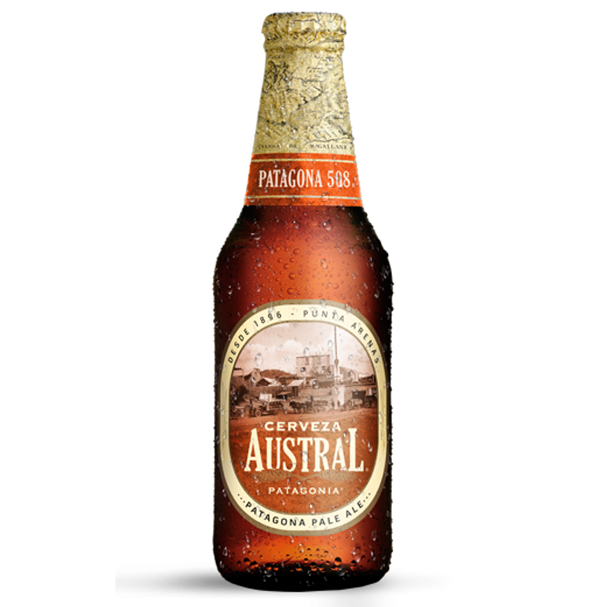 Cerveza Austral Botella 330cc Precio Oferta