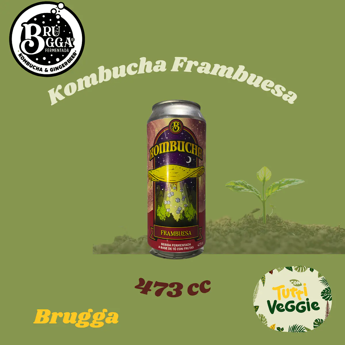 Kombucha Franbuesa 473cc | Con Tutti Veggie