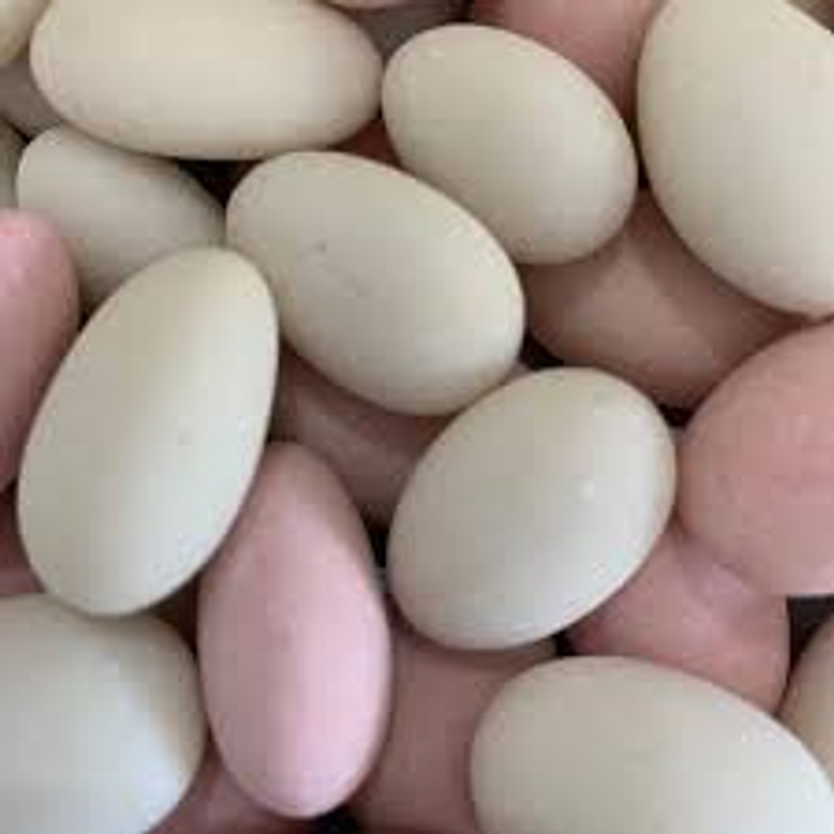 ALMENDRA CONFITADA SERRANO 500 GR | CONFITERIA CONFIMAX CALAMA