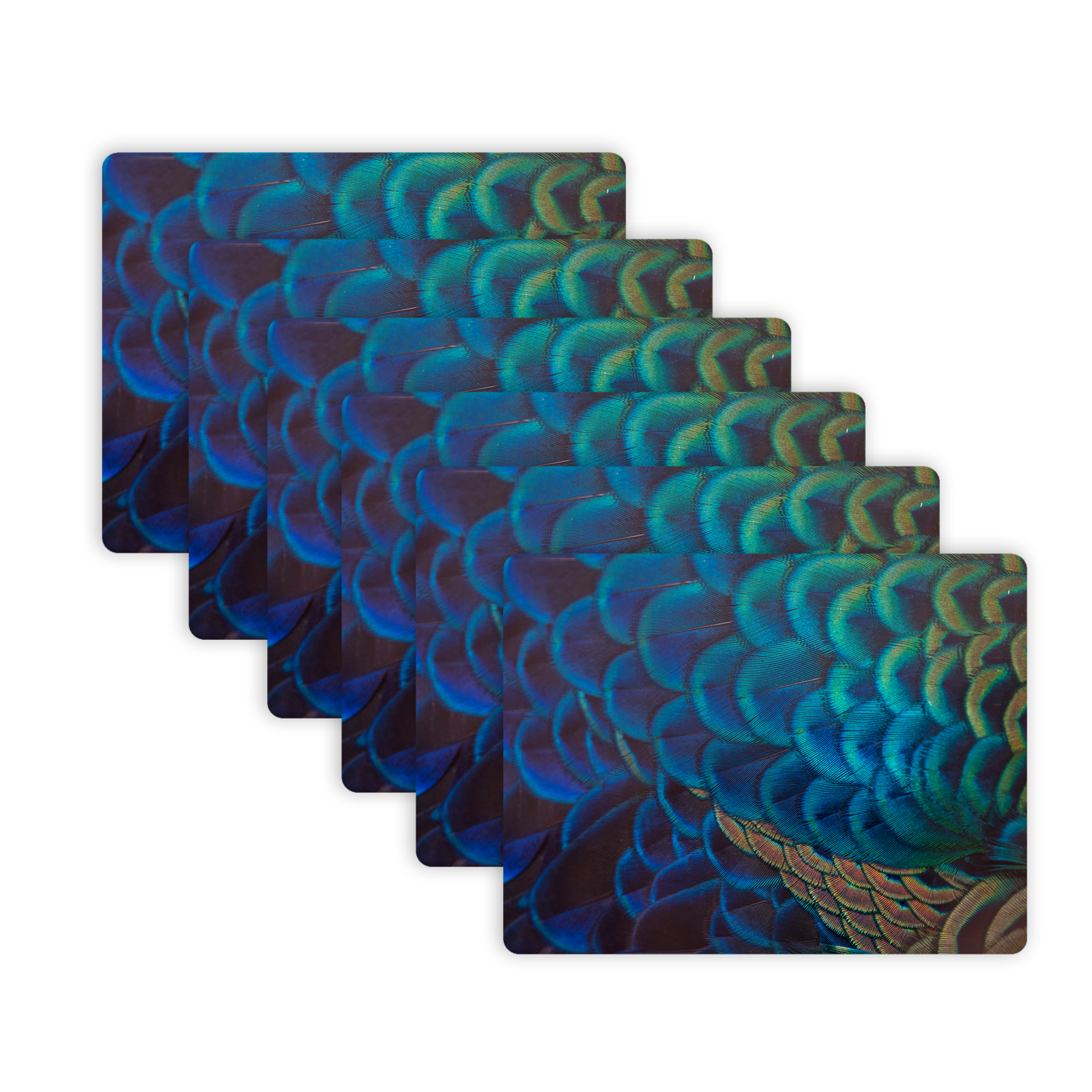 Set 8 Individuales Plumas Faisán Azul