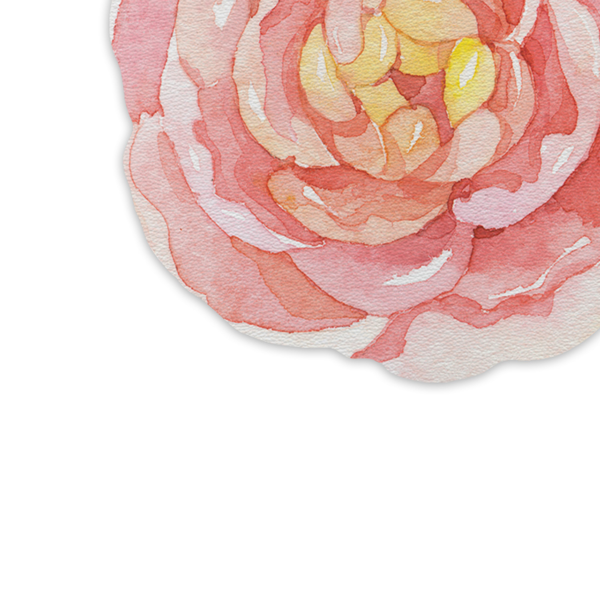 Set 6 Individuales Flor Tempo Carmin