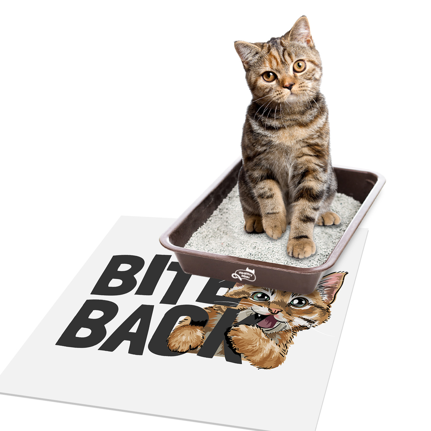 Bite Back 70x70 cm - DAVANTI