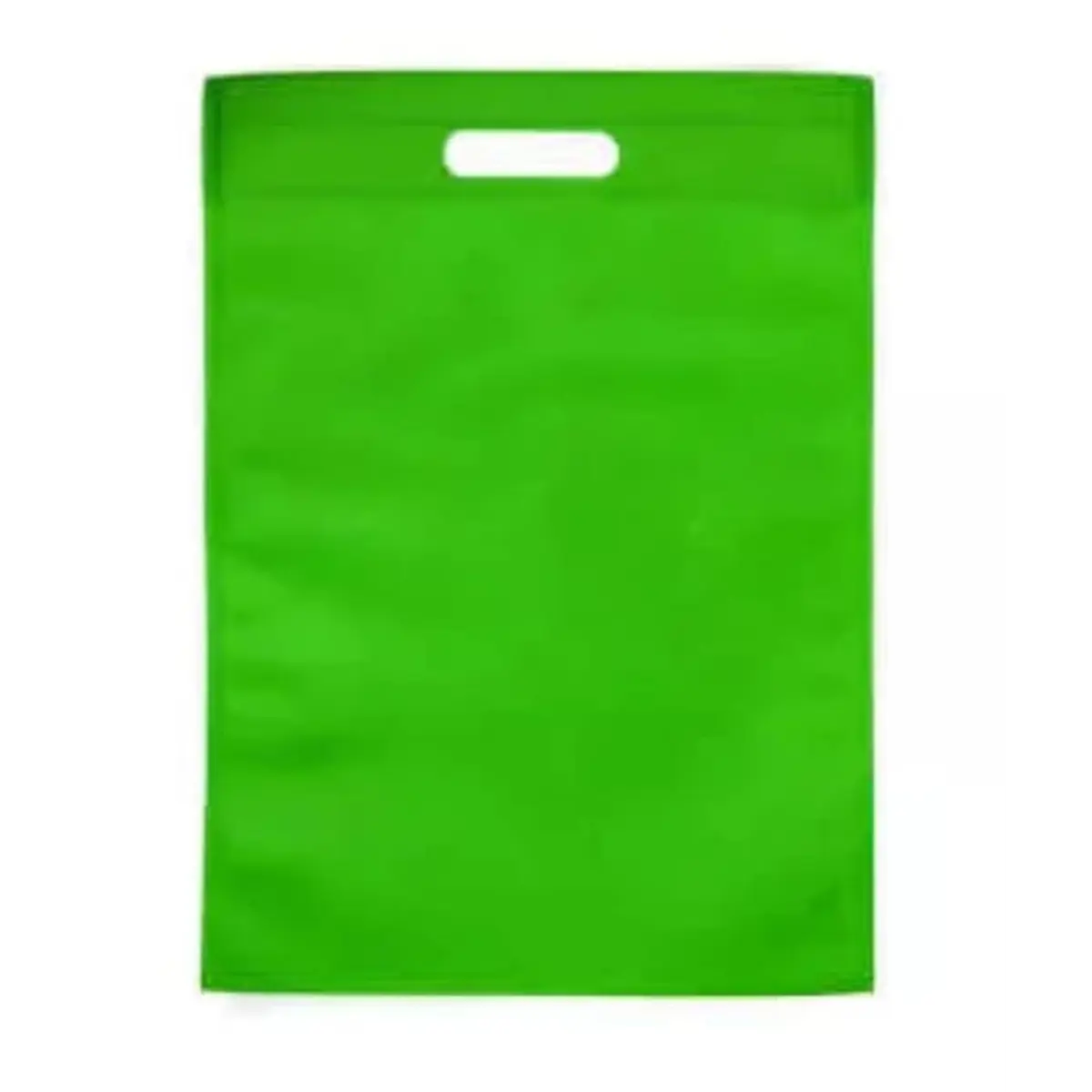 Bolsas TNT color verde 10 unidades