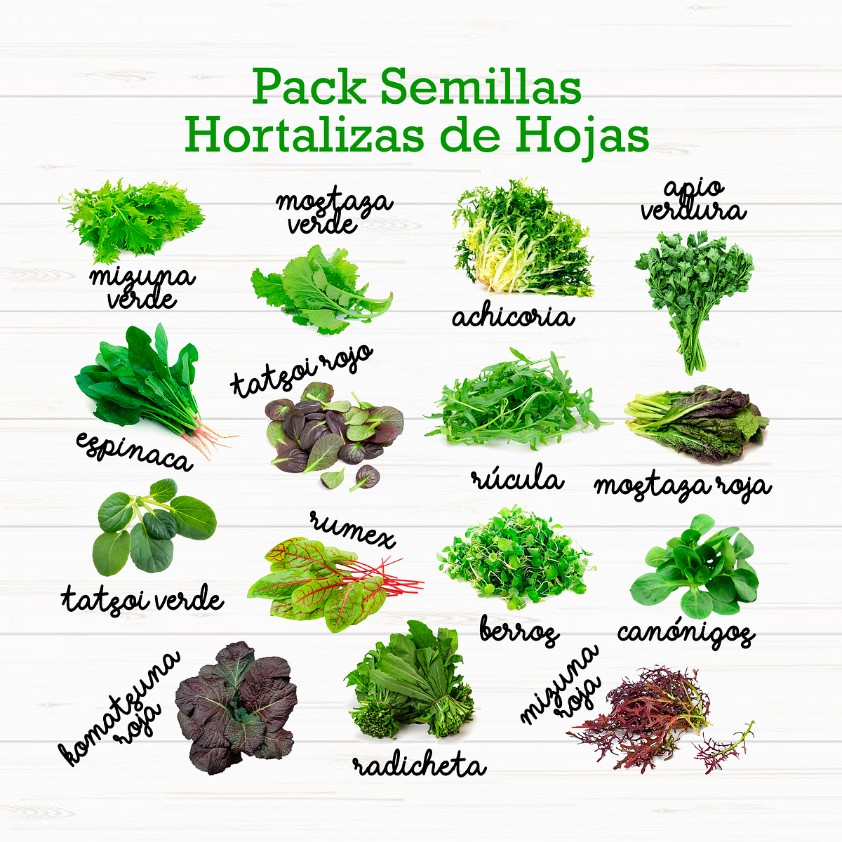Pack 15 Sobres Semillas Hortalizas De Hojas