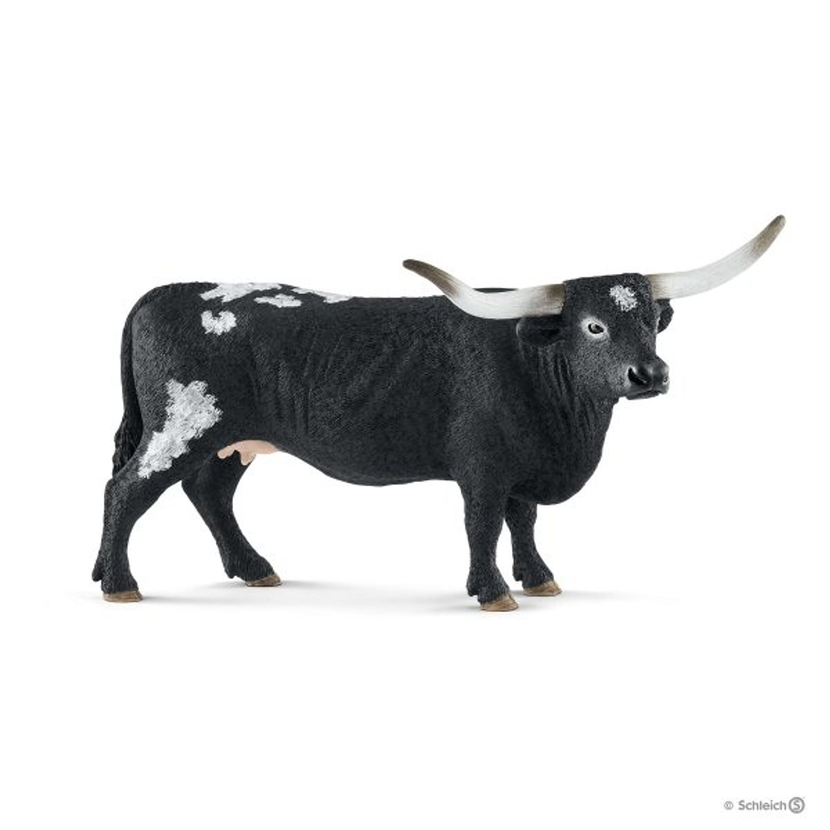 Vaca, Texas Longhorn | Cubos Luminosos