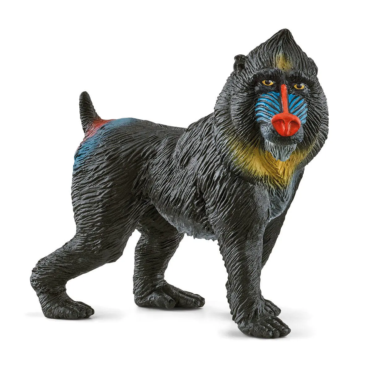 Mandrill | Cubos Luminosos